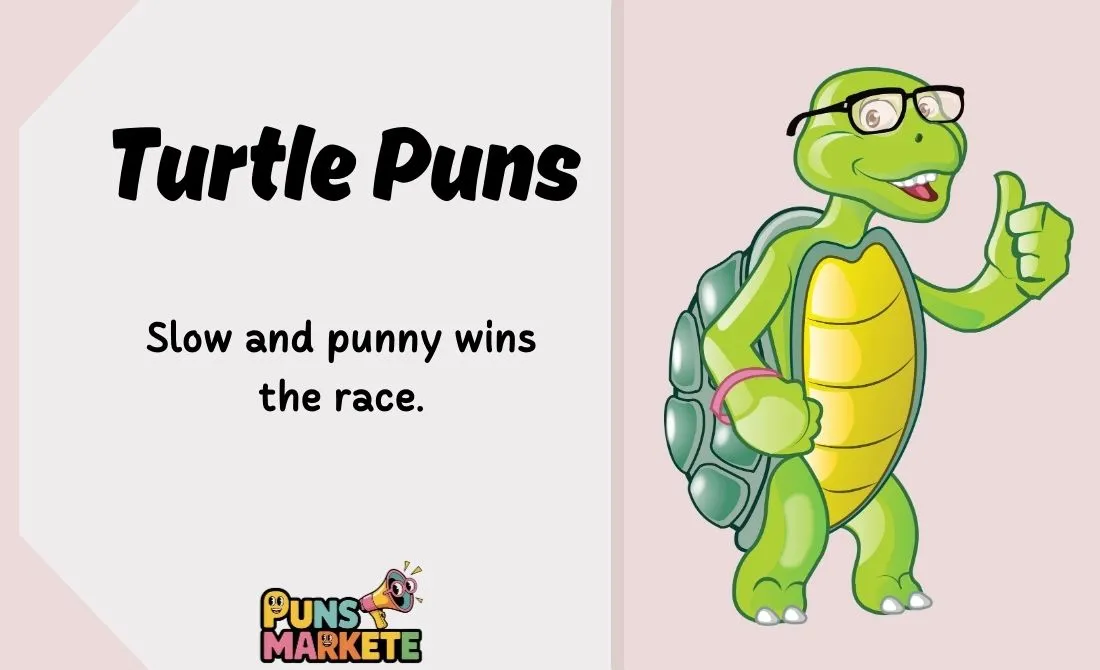 🐢 158+ Turtle Puns That Will Shell You With Laughter 2025! 😂🌊