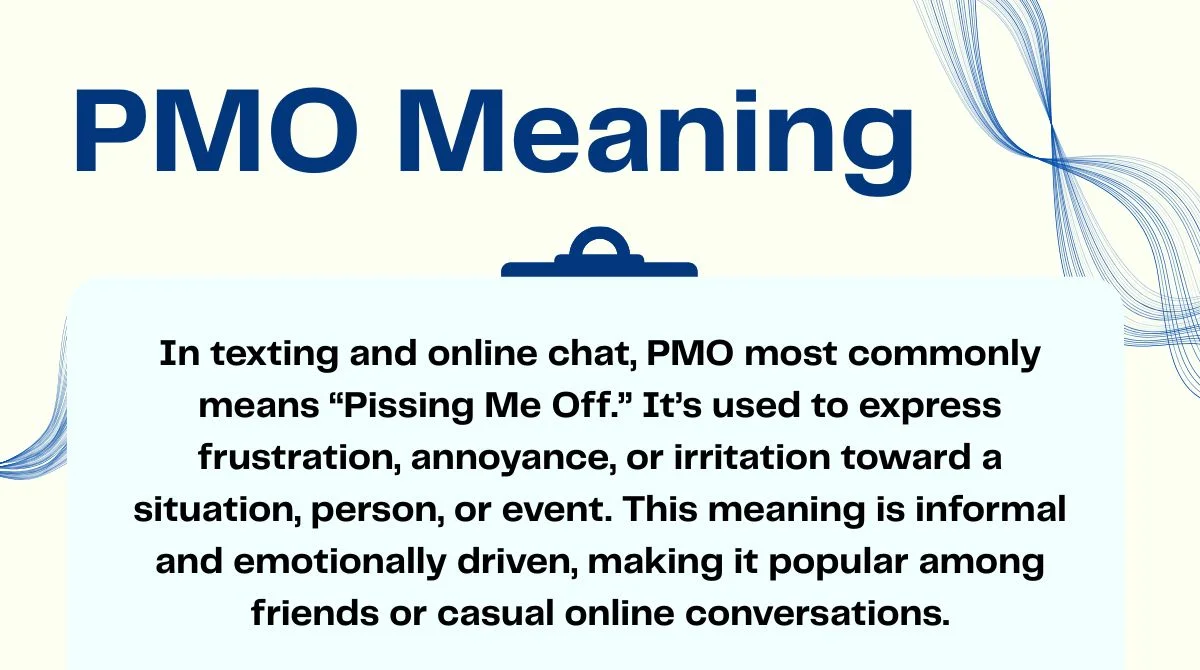 PMO Meaning: What Does PMO Really Mean in Text, Chat, and Online ...